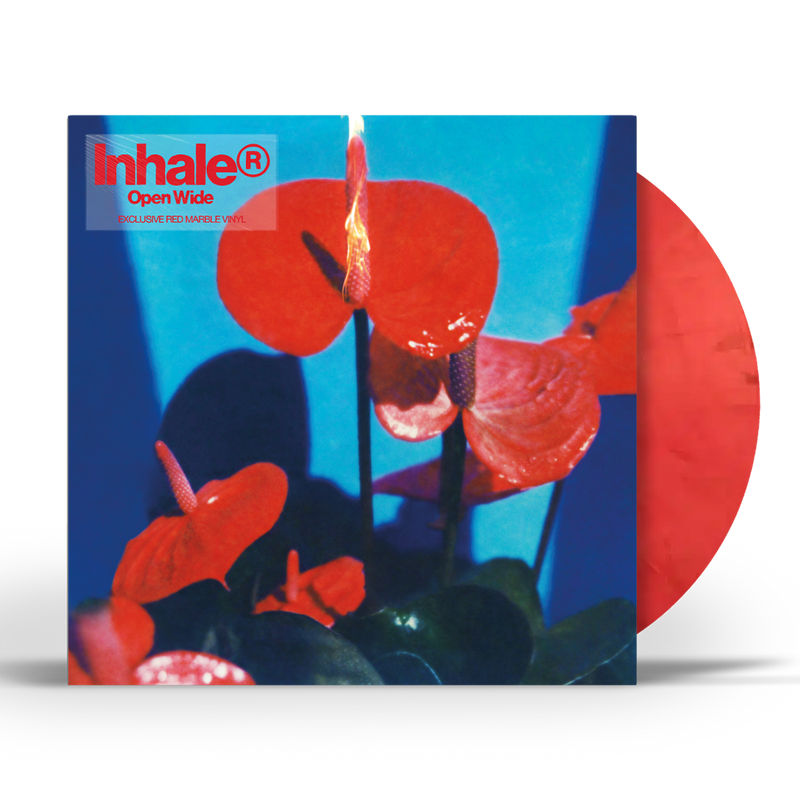 The Sound of Vinyl AU - The Sound of Vinyl AU